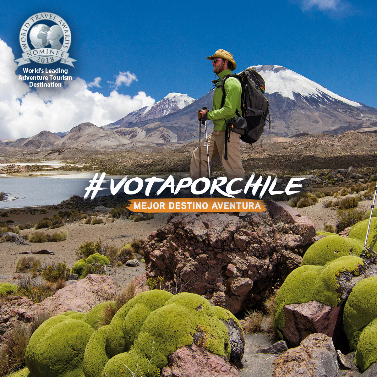 Refuerzan llamado a votar por Chile para mantener título de “Mejor ...